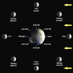 Lunar Phase Diagram - Planet Facts
